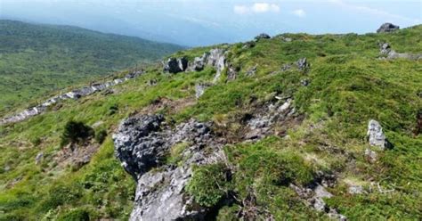 한라산 성판악 코스 정상 등반 1일 개통