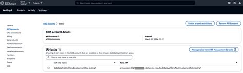 使用 amazon codecatalyst 跨账号和区域部署 eks 应用 亚马逊aws官方博客