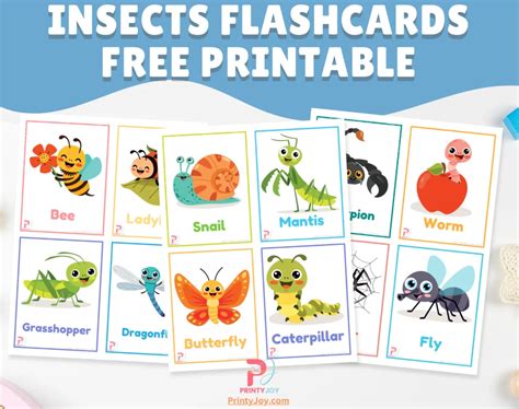 Insects Cartoon Flash Cards Printable Flashcards Educational