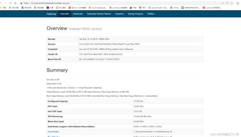 问题记录：centos中用docker配置hadoop打不开web界面docker部署hadoop无法访问hadoop页面 Csdn博客