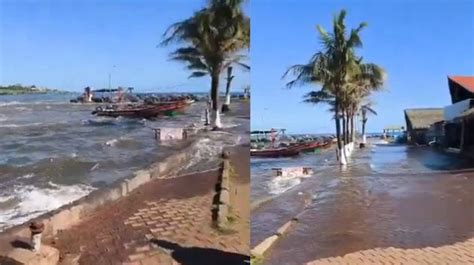 El Mar Podría Desaparecer Rapa Nui ¡no Sabes Nada