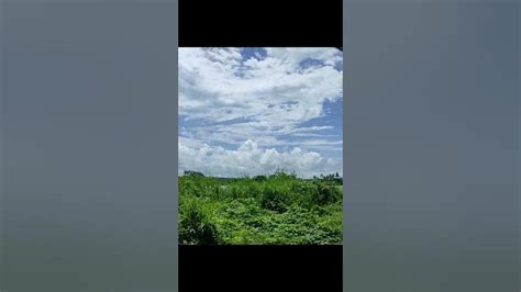 மரம் வளர்ப்போம் மழை பெறுவோம் Powerful Positive Gardening Tamil Tamilsong Song Youtube