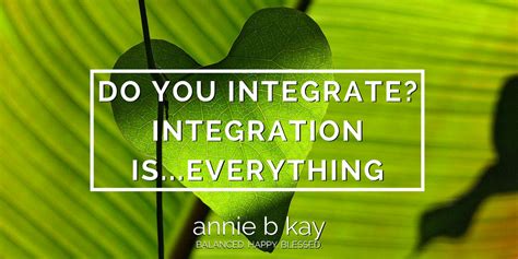 Do You Integrate Integration Is Everything