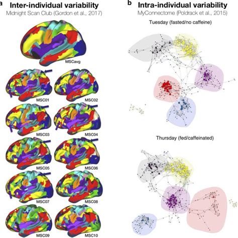 Inter And Intra Individual Differences In Functional Connectivity From