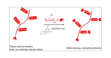 Synthesis And Characterization Of Multi Reducing End Polysaccharides Biomacromolecules