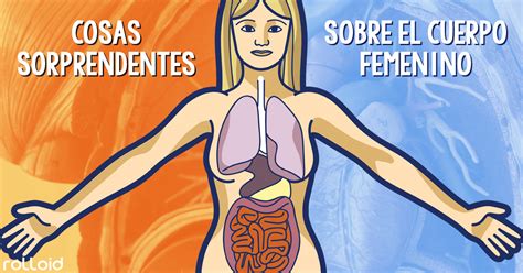 15 Sorprendentes Cosas Que Seguramente No Sabías Sobre El Cuerpo Femenino