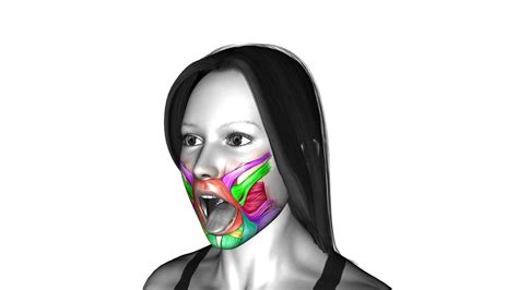 Fpov Female Video Exercise Guide And Tips Mouth Open Wide
