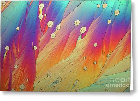 Pharmacokinetics Art For Sale Fine Art America