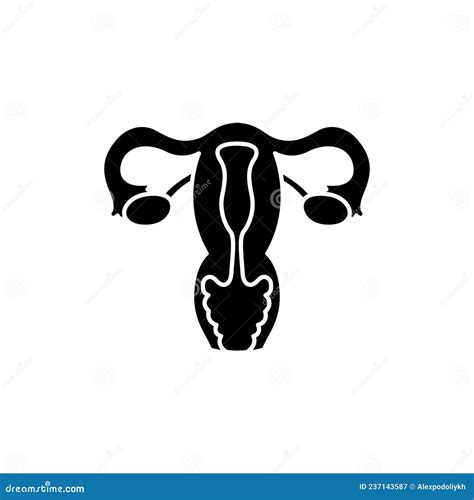 Human Organ Uterus Color Line Icon Pictogram For Web Page Mobile App Stock Vector