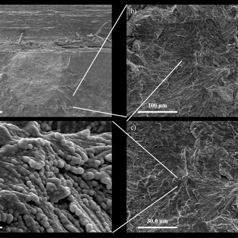 Sem Micrograph Of Fracture Surface After Mode 1 Fracture Testing