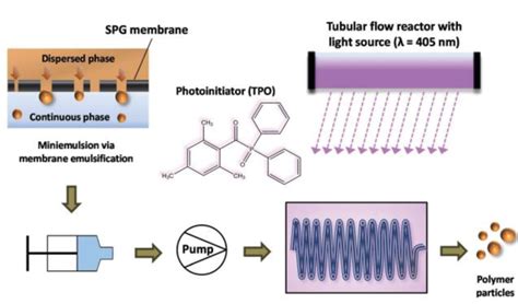 Schematic Illustration Of Membrane Emulsification Followed By Download Scientific Diagram