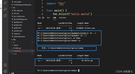 Vscode Golang 环境搭建 And 输出第一个程序hello World —— Window案例vscode配置go开发环境及运行helloword Csdn博客