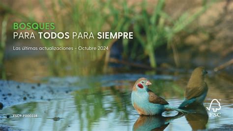 Fsc España Bosques Para Todos Para Siempre