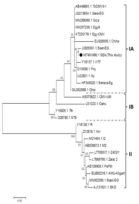 The Maximum Likelihood Tree Was Constructed Based On Available Download Scientific Diagram