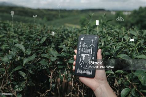 이산화탄소 배출 감소 환경 파괴 및 지구 온난화 감소 캠페인 공기 균형 유지 Co2 배출 방지 기술 사용 재생 에너지 사용 0에 대한 스톡 사진 및 기타 이미지 Istock