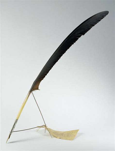 Nib Definition Larousse At Corrina Davis Blog