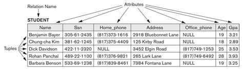 Relational Model Concepts In DBMS Pedagogy Zone