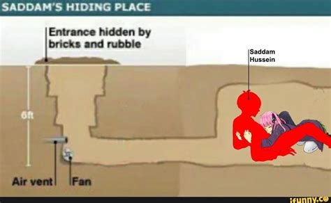 Saddam Hussein Hiding Place