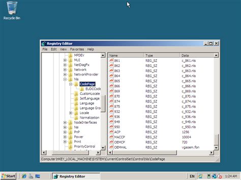 setting nls lang on windows for oracle database
