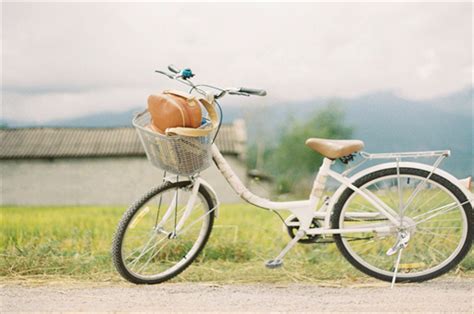 毛新宇一家参加九三阅兵，荣耀传承的盛典 青团网