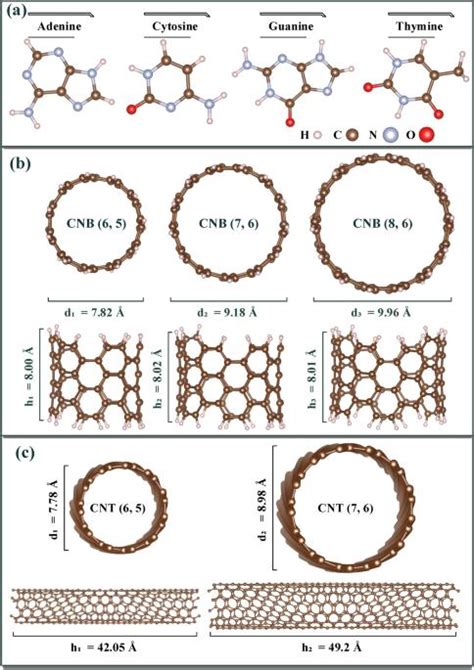 Anthony Turner On Linkedin Ab Initio Investigation For Dna Nucleotide