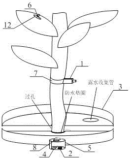 大叶片作物露水检测收集装置的制作方法