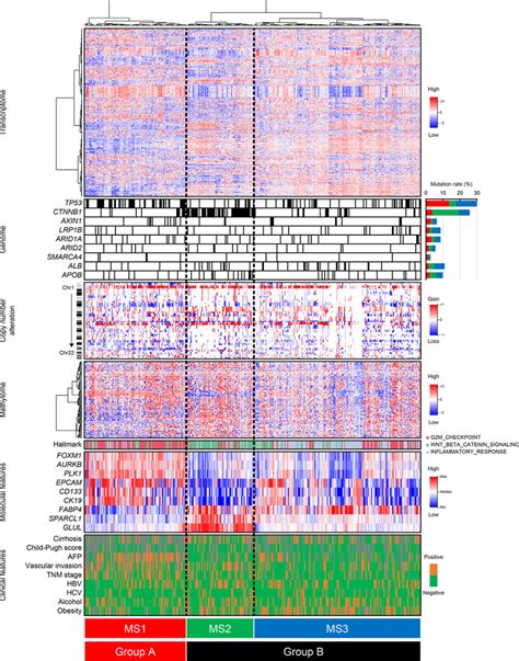 Comprehensive Molecular Classification Of Hcc In The Tcga Validation