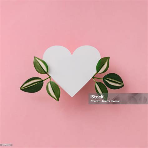 밝은 파스텔 핑크 배경에 흰색과 녹색 잎과 종이 하트 모양의 카드 노트로 만든 트렌디한 로맨틱한 레이아웃 미니멀 러브 컨셉 발렌타인 데이 플랫 레이 평면도 크리에이티브 복사