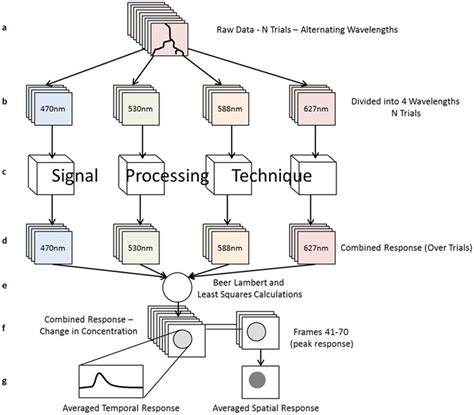 Signal Processing Algorithms Examples At Patrick Purcell Blog