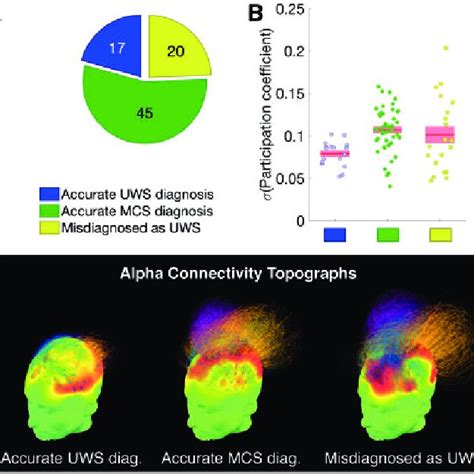 Eeg Networks And Misdiagnosis A Mismatch Between Diagnosis Of Download Scientific Diagram
