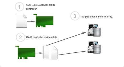 Raid Array Or Server