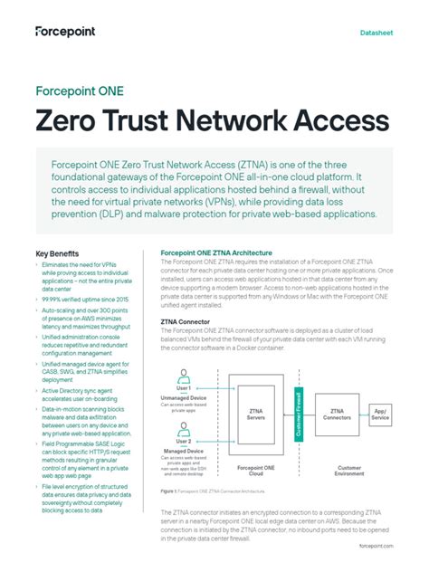 Forcepoint One Ztna Datasheet Pdf