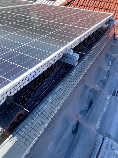 Bird Deterrent Sydney Bird Control Sydney — Oandl Pest Control