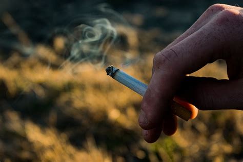 Darmowych Obraz W Z Kategorii Zdjecia Dla Doros Ych I Dla Doros Ych Pixabay