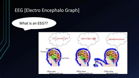 Brain Computer Interfacing Ppt