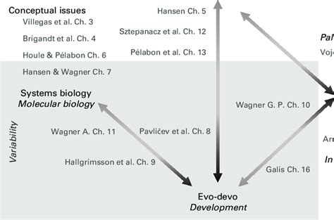 1 roadmap for evolvability research the chapters of this book are