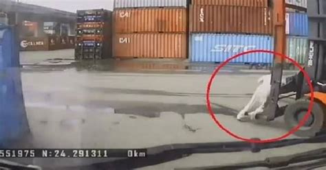 台中貨櫃車駕駛遭「堆高機輾過」雙腿輾斷失血過多亡 Peekme