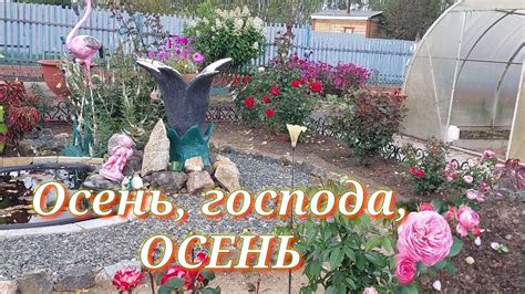 Осенний обзор огородика Youtube