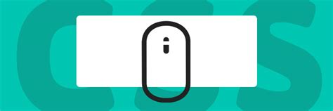 Css Scroll Animations Pomagalnik