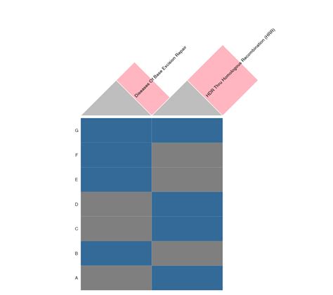 R Adding Bars To X Axis Labels Of A Geom Tile Stack Overflow