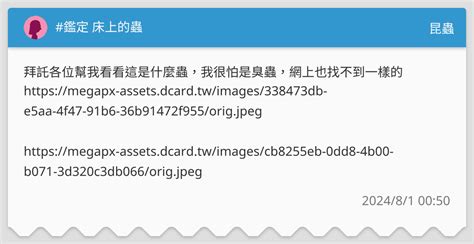 鑑定 床上的蟲 昆蟲板 Dcard