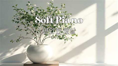 햇살 가득한 창가에서 듣는 감성적인 피아노 선율 편안한 휴식을 위한 부드러운 음악 Youtube