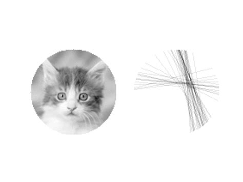 approximating images with overlapping straight lines