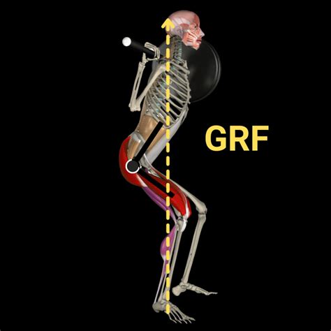 Ground Reaction Force Muscle And Motion Blog