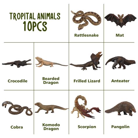 10 Examples Of Reptiles 10 Examples Of Reptiles