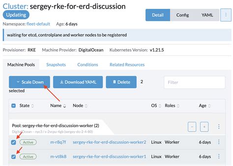 Ability To Scale Down Individual Node S For RKE2 Provisioned Clusters Issue 4446 Rancher