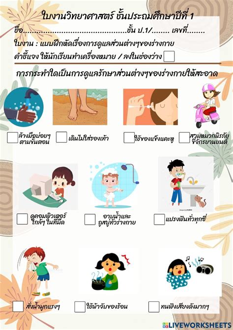 ใบงาน เรื่่องวิธีการดูแลอวัยวะต่างๆของร่างกาย Worksheet School Subjects Teachers Coding