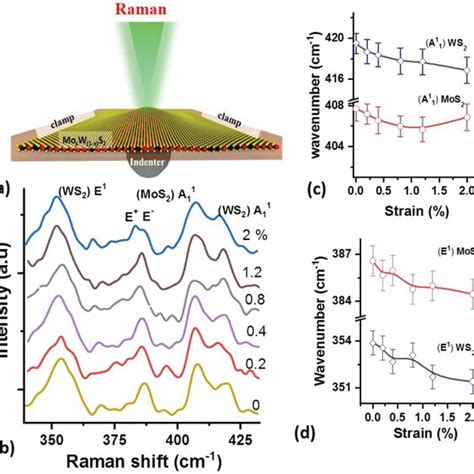A Schematic Showing The In Situ Raman Straining Experiment The 2d Download Scientific Diagram