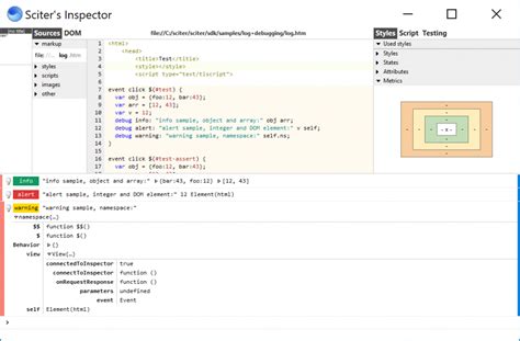 Revising Assert And Debug Statements Sciter