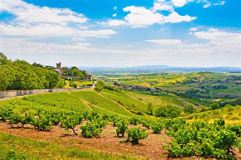 Photo Itinerary Burgundy And Provence 2026
